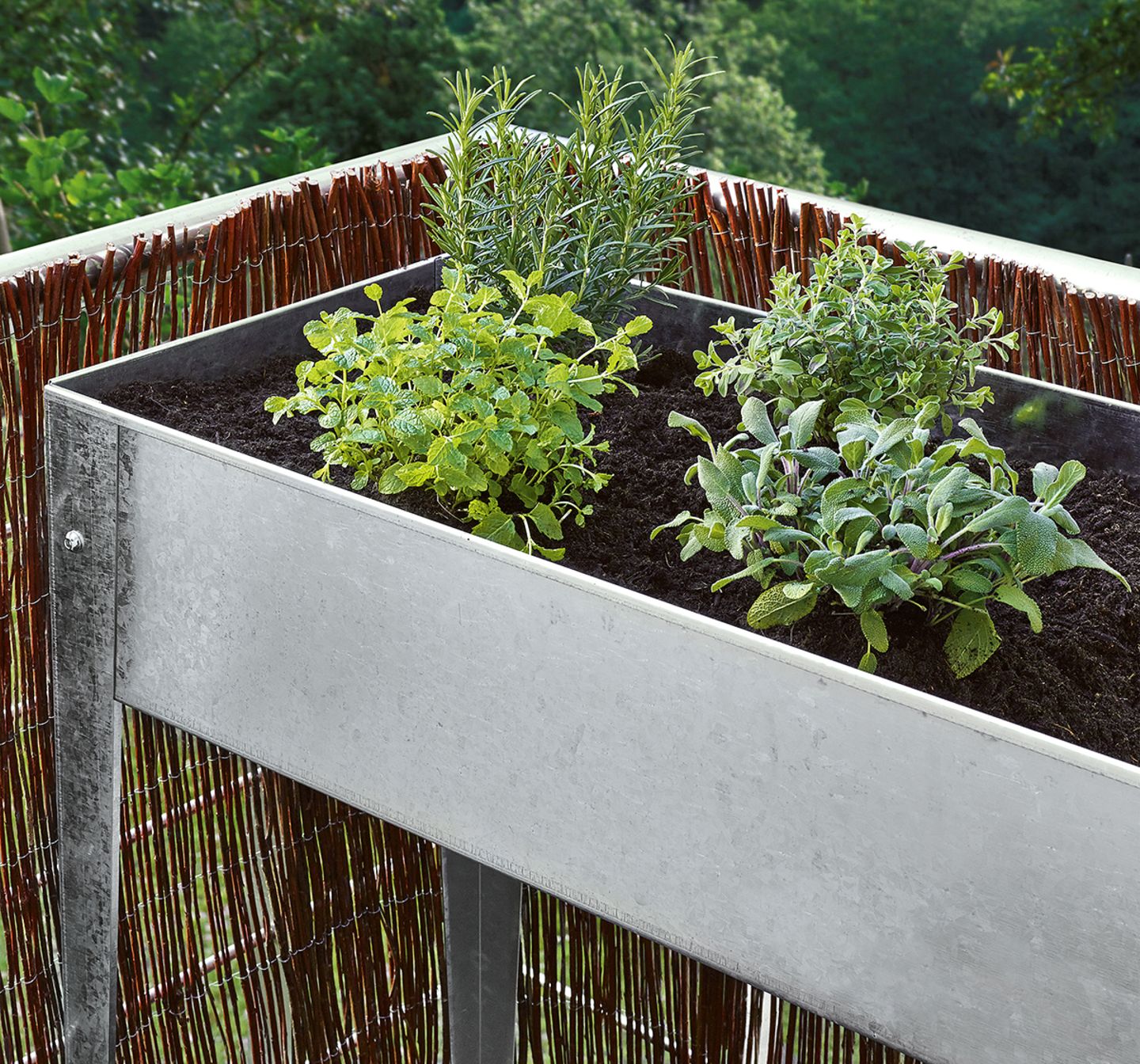 Hochbeet Kruter Balkon