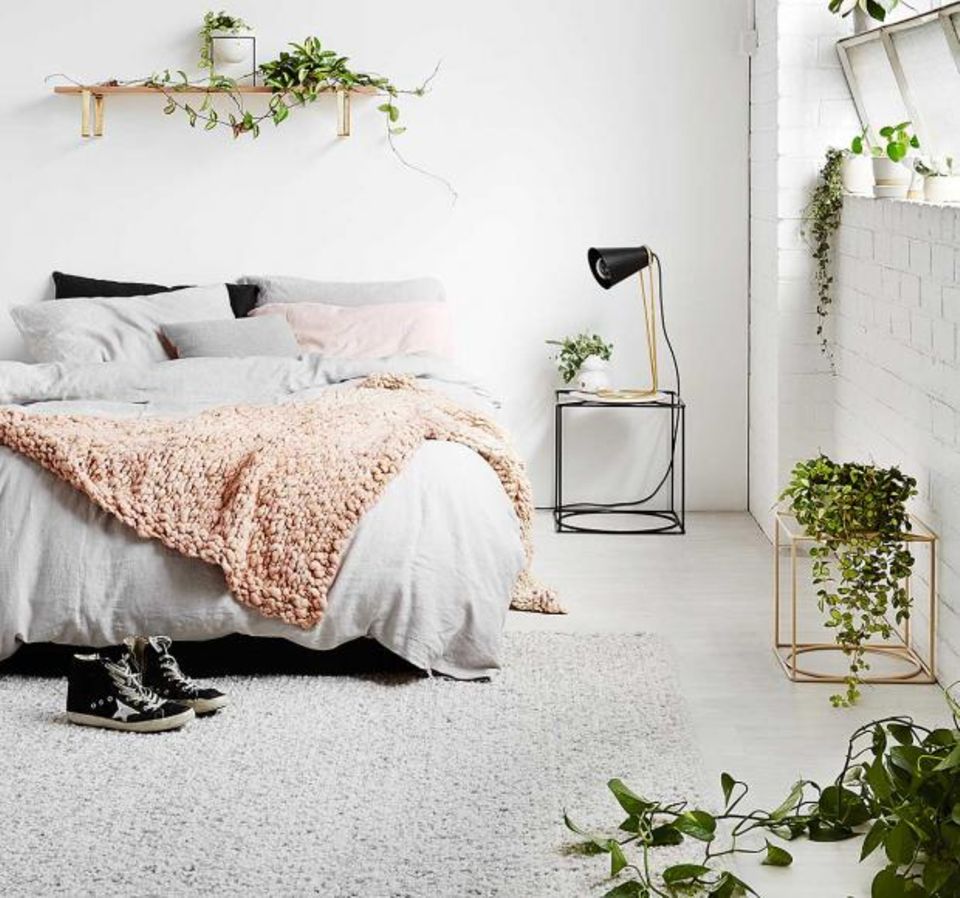 6. Pflanzen im Schlafzimmer für gesunden Schlaf - [SCHÖNER WOHNEN]