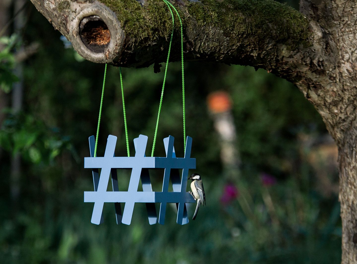 Hashtag "Hunger": Vogelhaus "TweetFeed" von Fnurst - [SCHÖNER WOHNEN]