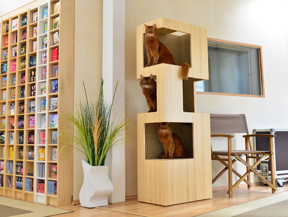 Katzenturm "The One" von Katzenbaum Design - [SCHÖNER WOHNEN]