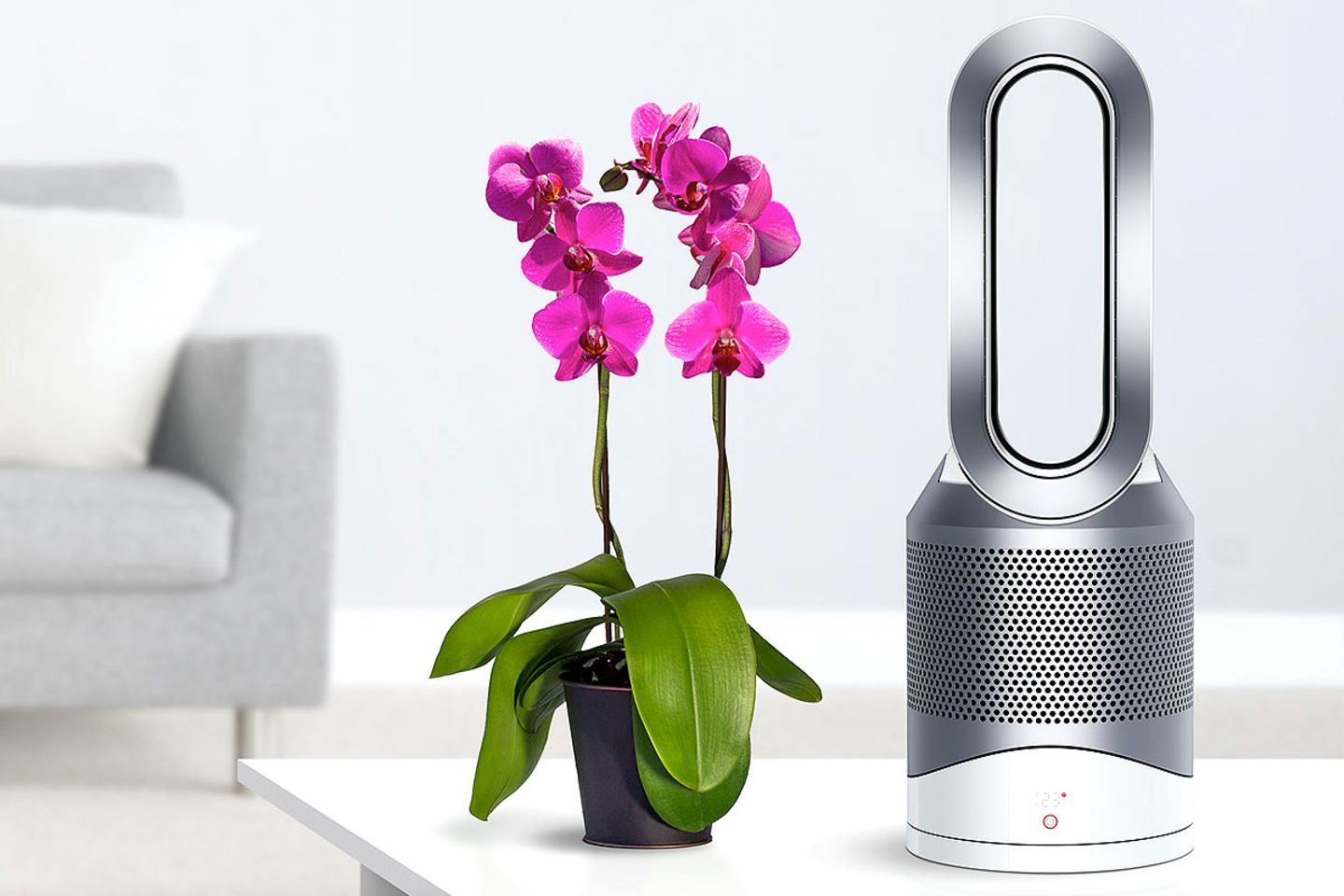 Dyson Luftreiniger Ventilator Heizlfter Pure Hot Cool Link