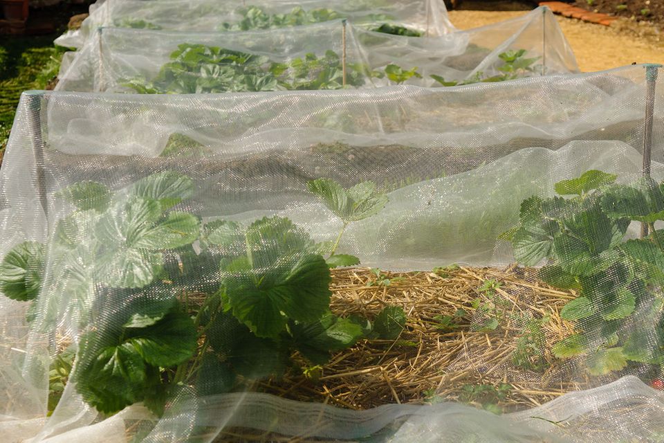 RRR – reduce, reuse, recycle - [SCHÖNER WOHNEN]