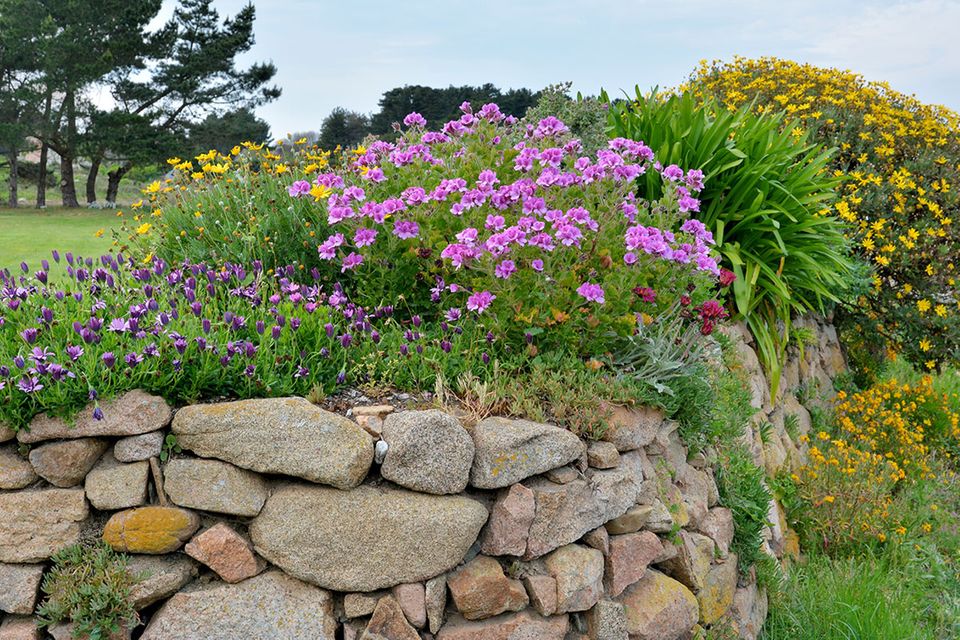 Pflegeleichter Garten: Tipps & Ideen - [SCHÖNER WOHNEN]