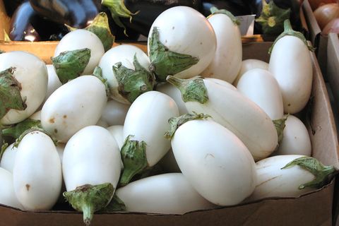 Eierbaum: pflanzen, pflegen, überwintern - [SCHÖNER WOHNEN]