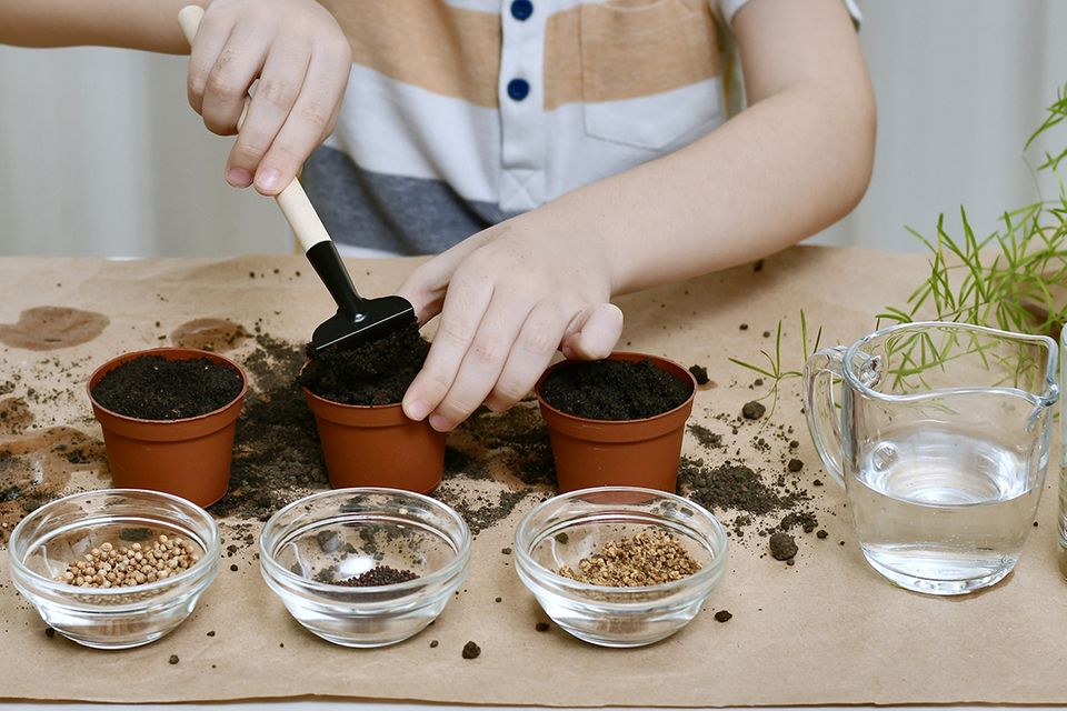 Wie funktioniert der Anbau? - [SCHÖNER WOHNEN]