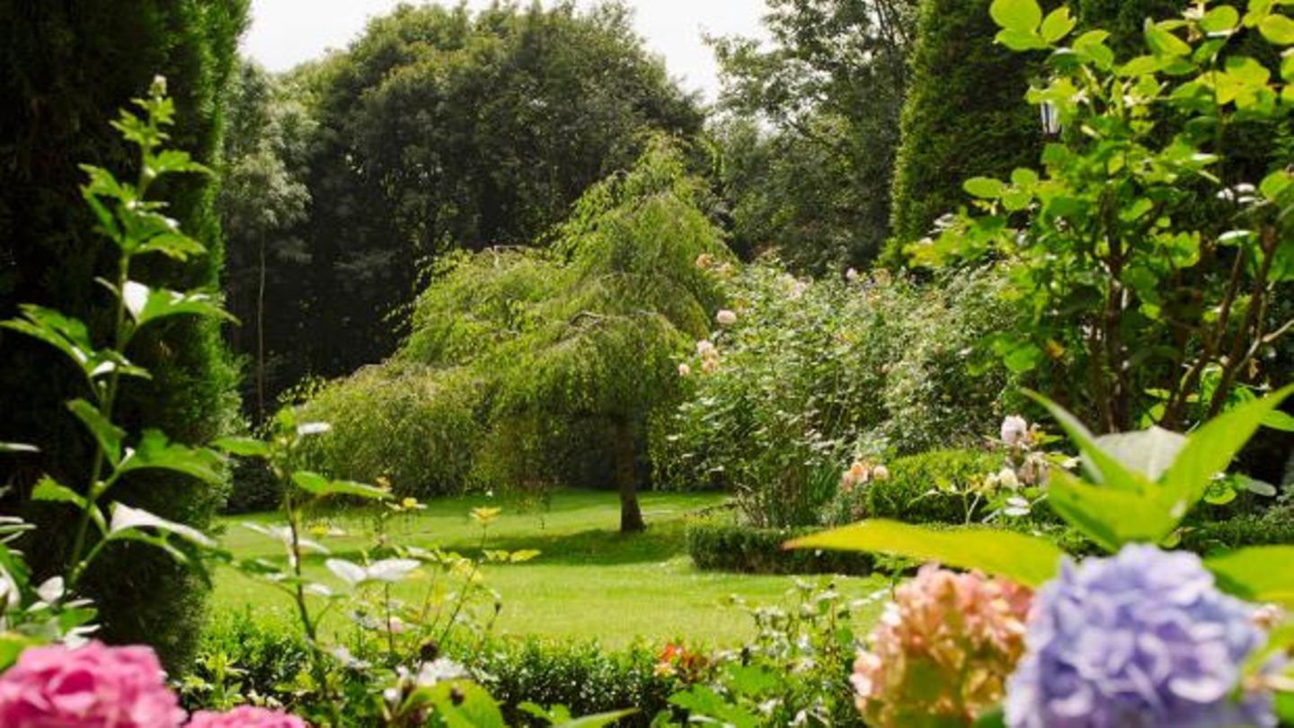 Gartenidee 11: Ideale Farbtöne für Schattenspender im Garten - [SCHÖNER ...