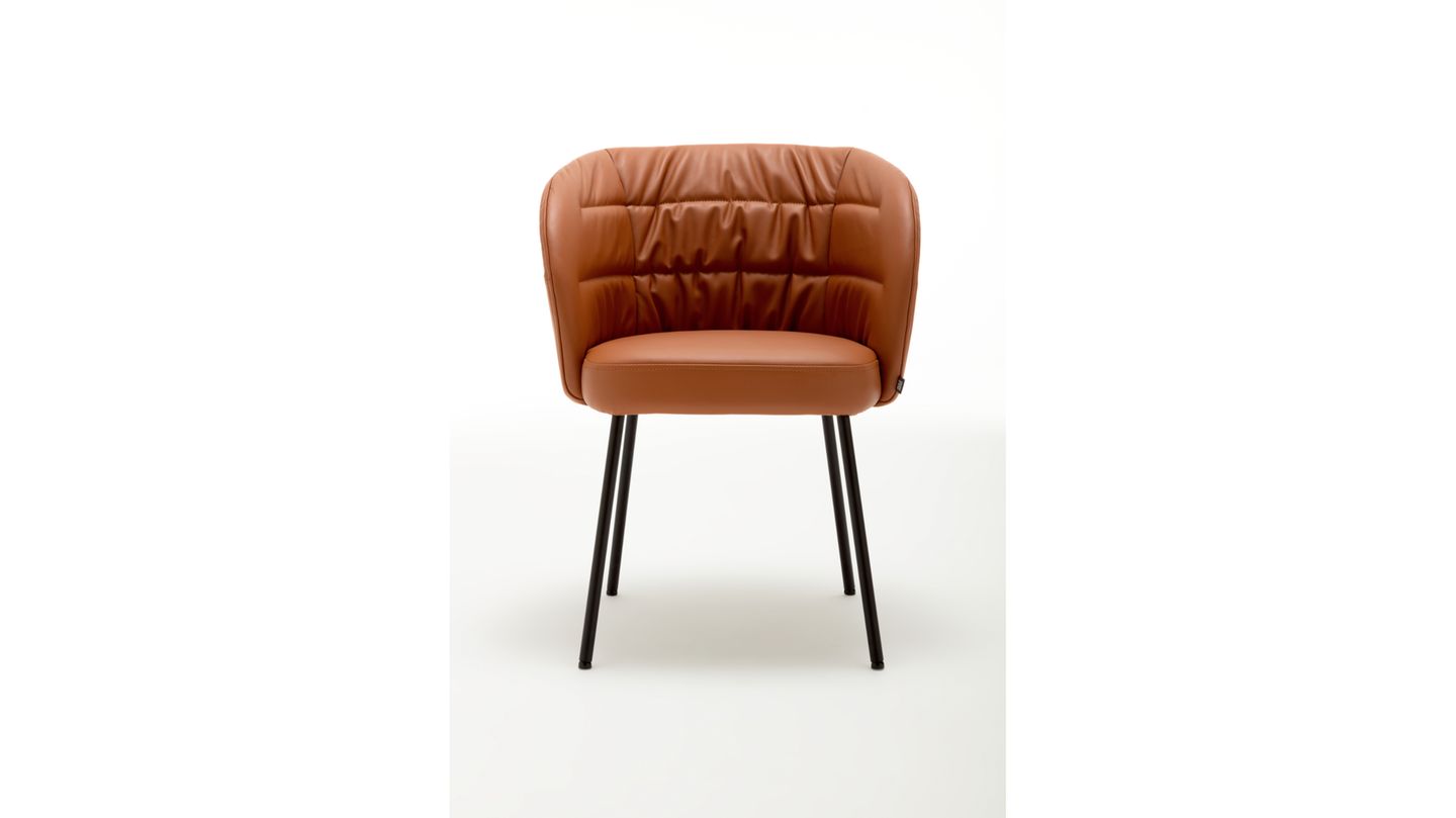 Best of Design: Polsterstühle - [SCHÖNER WOHNEN]