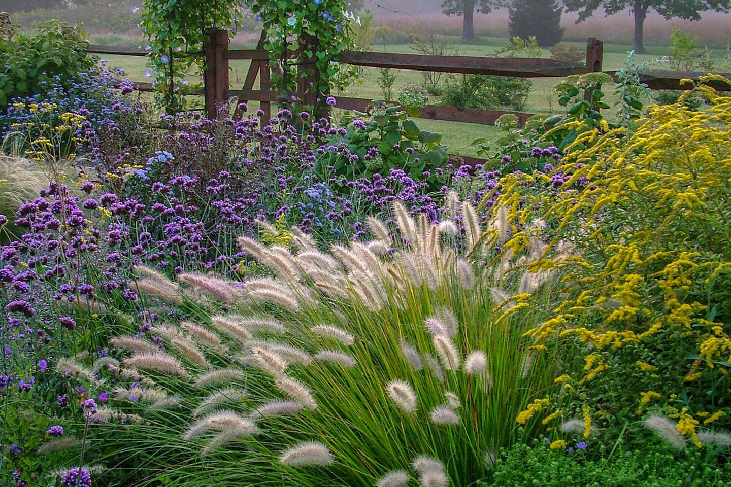 Die 13 schönsten Ideen für ein modernes Blumenbeet - [SCHÖNER WOHNEN]