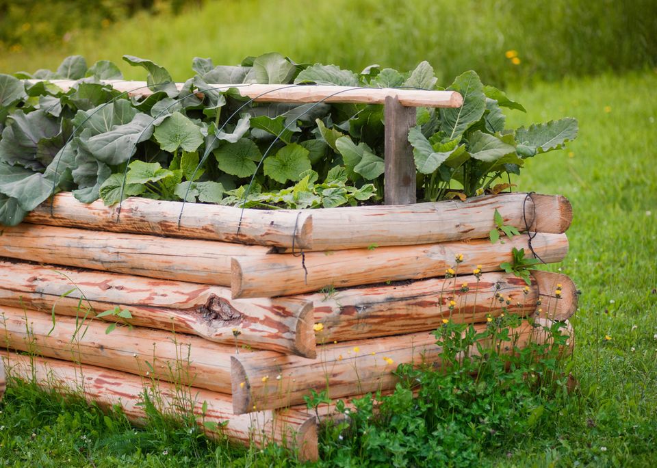 Kreative Hochbeet-Ideen - [SCHÖNER WOHNEN]