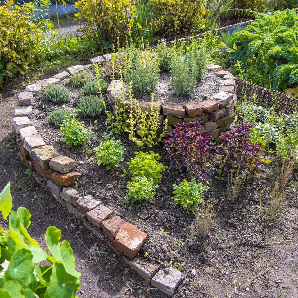 VIDEO: Ein Hochbeet für den Garten selber bauen - [SCHÖNER WOHNEN]
