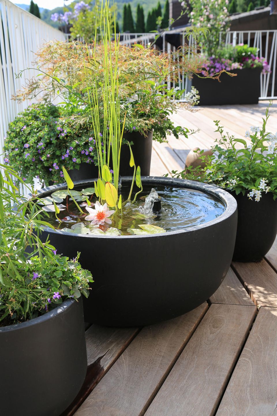 Mini-Teich für die Terrasse - [SCHÖNER WOHNEN]