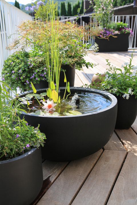 Mini-Teich für die Terrasse - [SCHÖNER WOHNEN]
